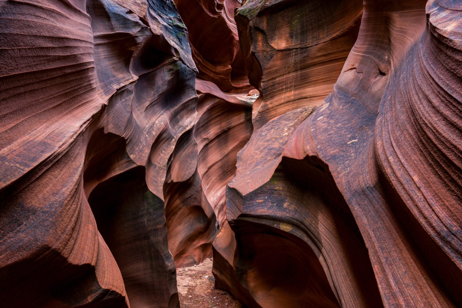 Our Canyon Tours in Northern Arizona | Black Streak Canyon Tours